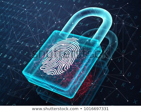 Mòdul 1: Identitat digital – Araceli López