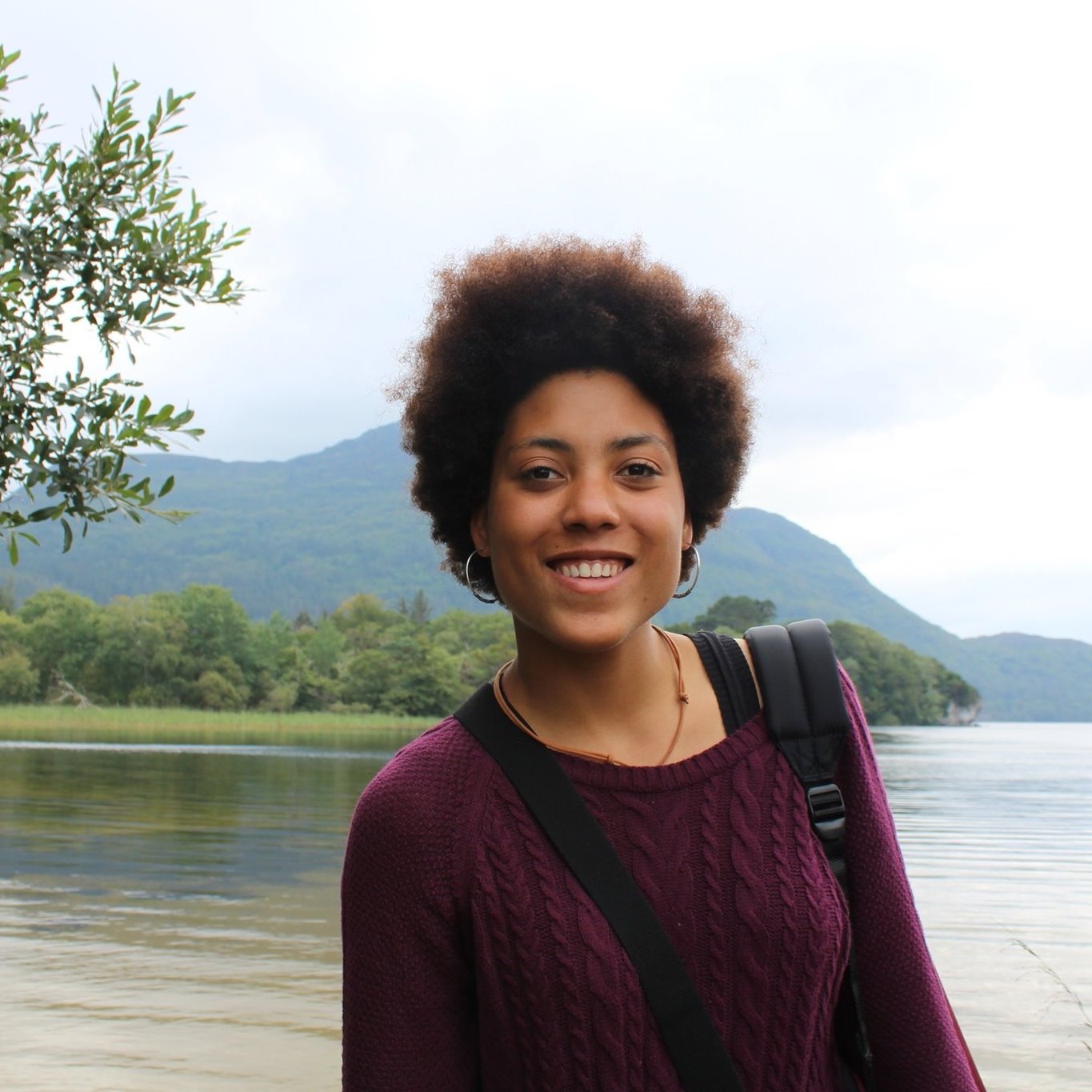 EVA GUINOT SALES – Dossier i Entorn Personal d'Aprenentatge