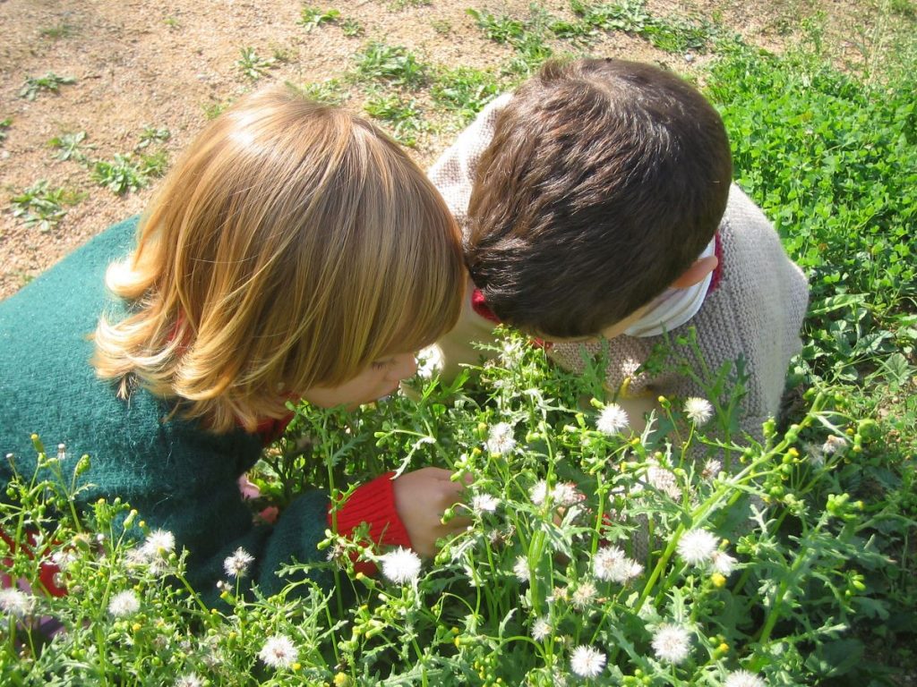 Els infants i la natura: els beneficis d’apropar-los a l’entorn natural ...